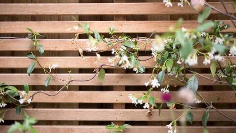 Bespoke Ornate Trellis in London | Superior Trellis Fencing