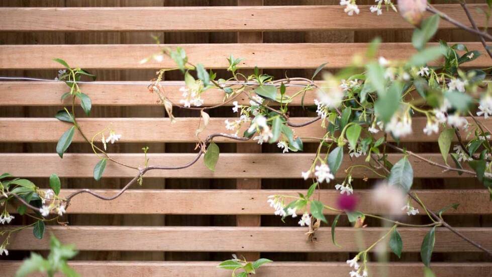 Bespoke Ornate Trellis in London | Superior Trellis Fencing