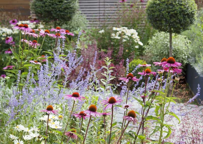 Wrap-Around Gardens in London, by Kate Eyre Garden Design